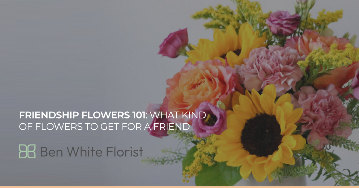 Friendship Flowers 101: What Kind of Flowers to Get for a Friend | Ben ...