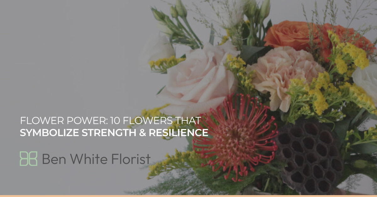 Flower Power: 10 Flowers That Symbolize Strength & Resilience | Ben ...